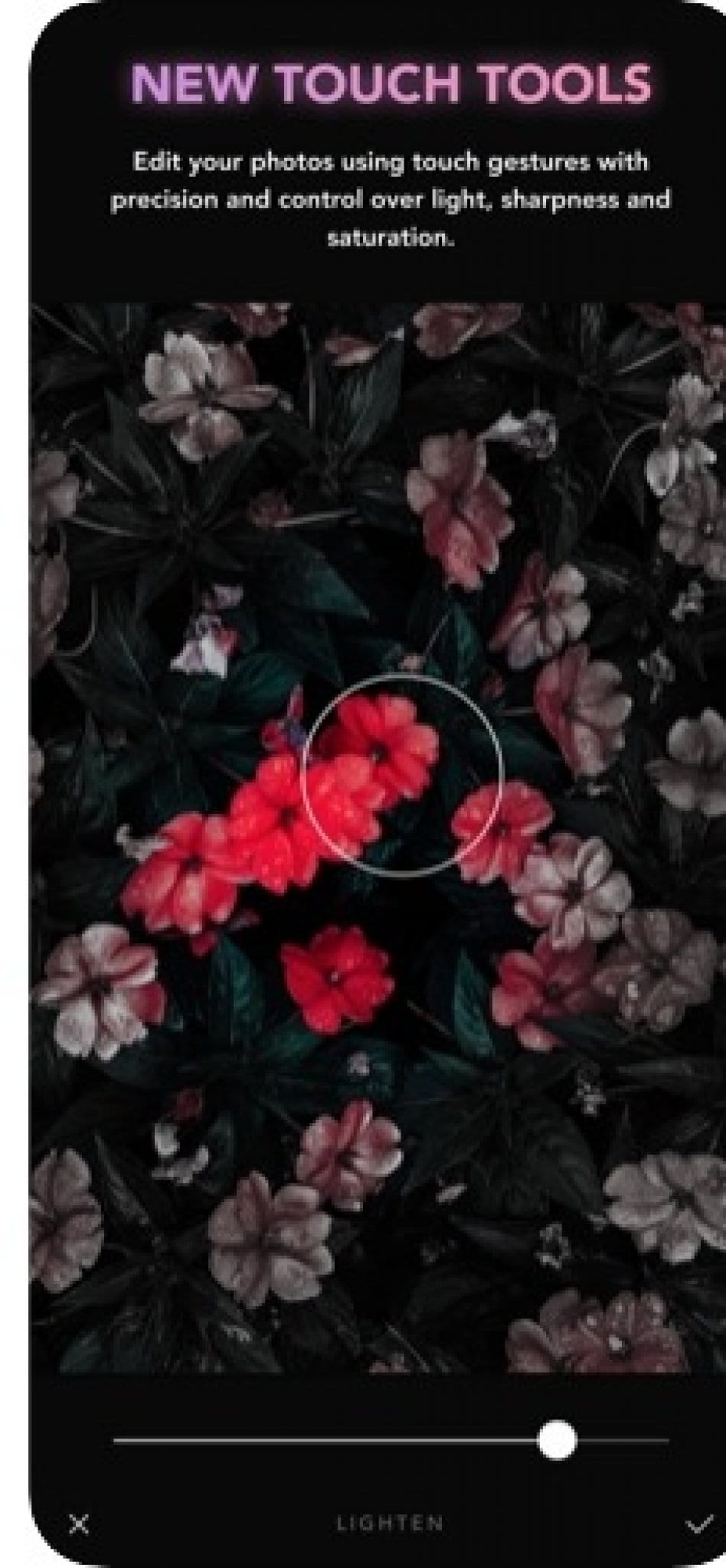 11 Free Photo Border Apps for Android & iOS | Free apps for Android and iOS