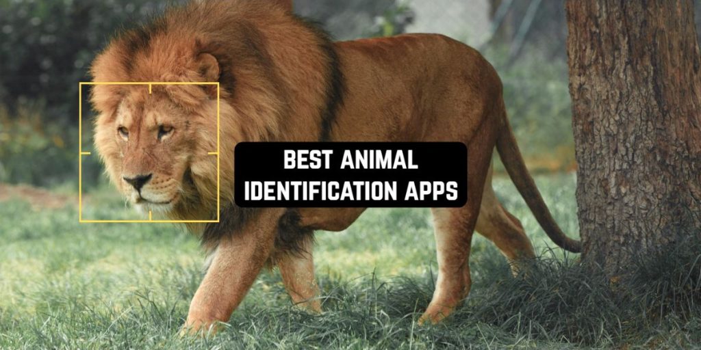 8 Best Animal Identification Apps for Android & iOS| Freeappsforme ...