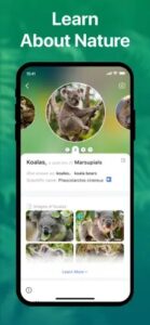 8 Best Animal Identification Apps for Android & iOS| Freeappsforme ...
