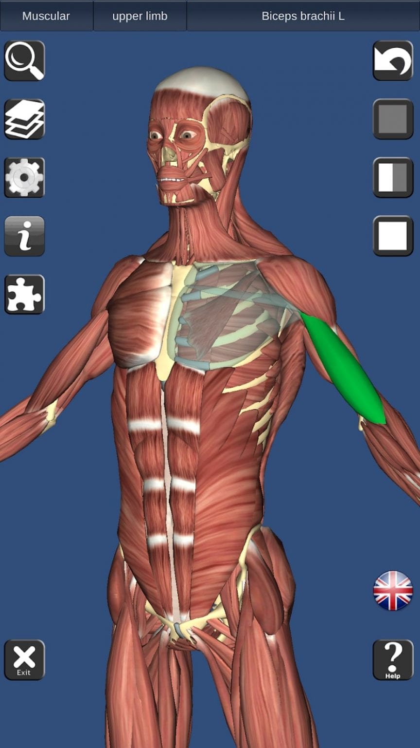 3D Bones and Organs app review | Freeappsforme - Free apps for Android ...