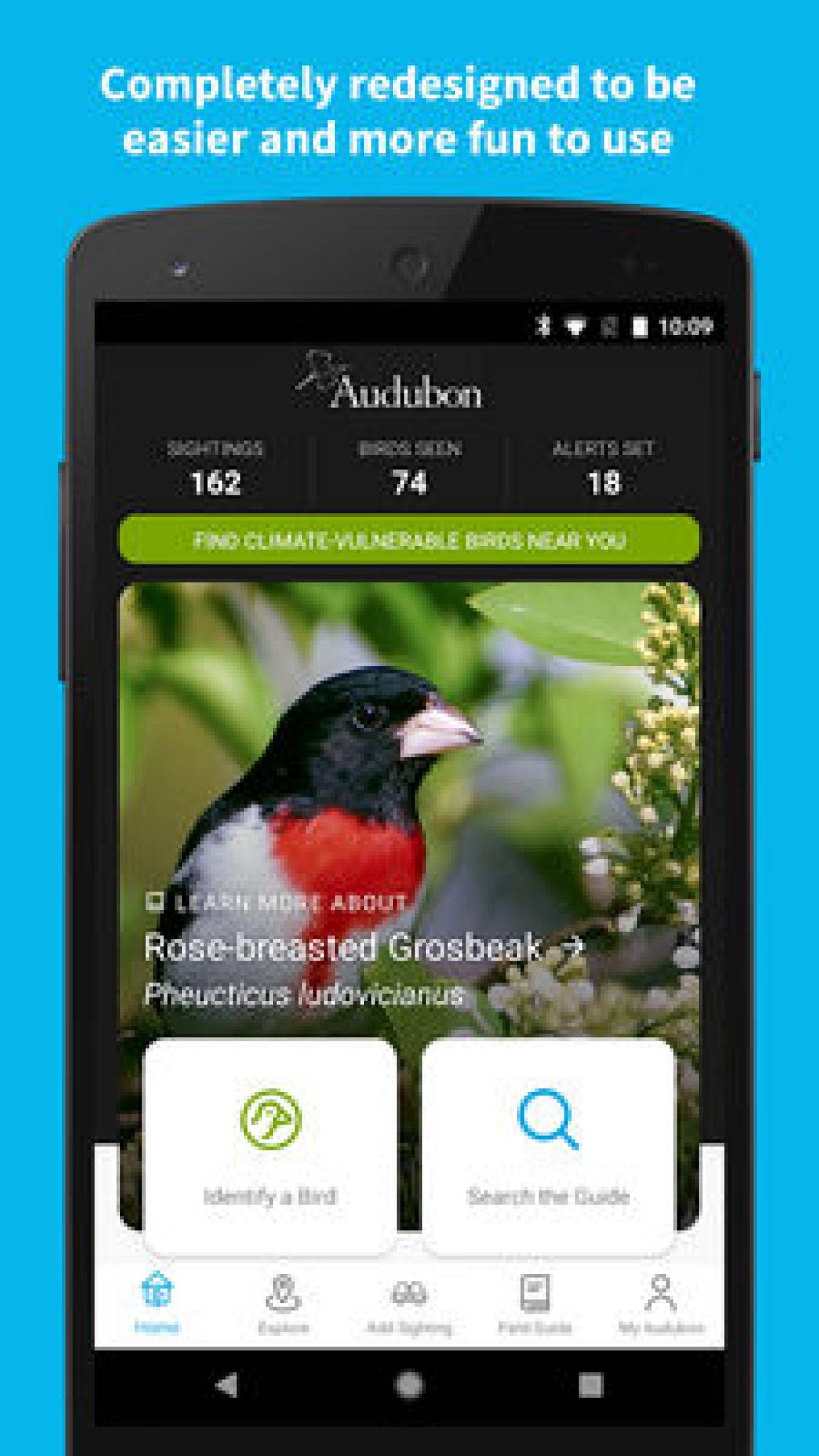 7 Best bird identifier apps for Android & iOS | Freeappsforme - Free ...