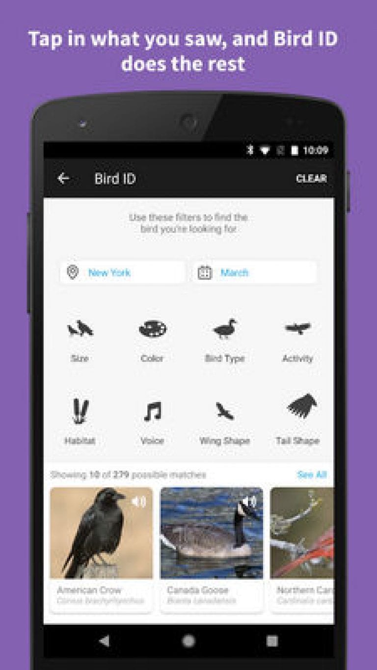 7 Best bird identifier apps for Android & iOS | Freeappsforme - Free ...