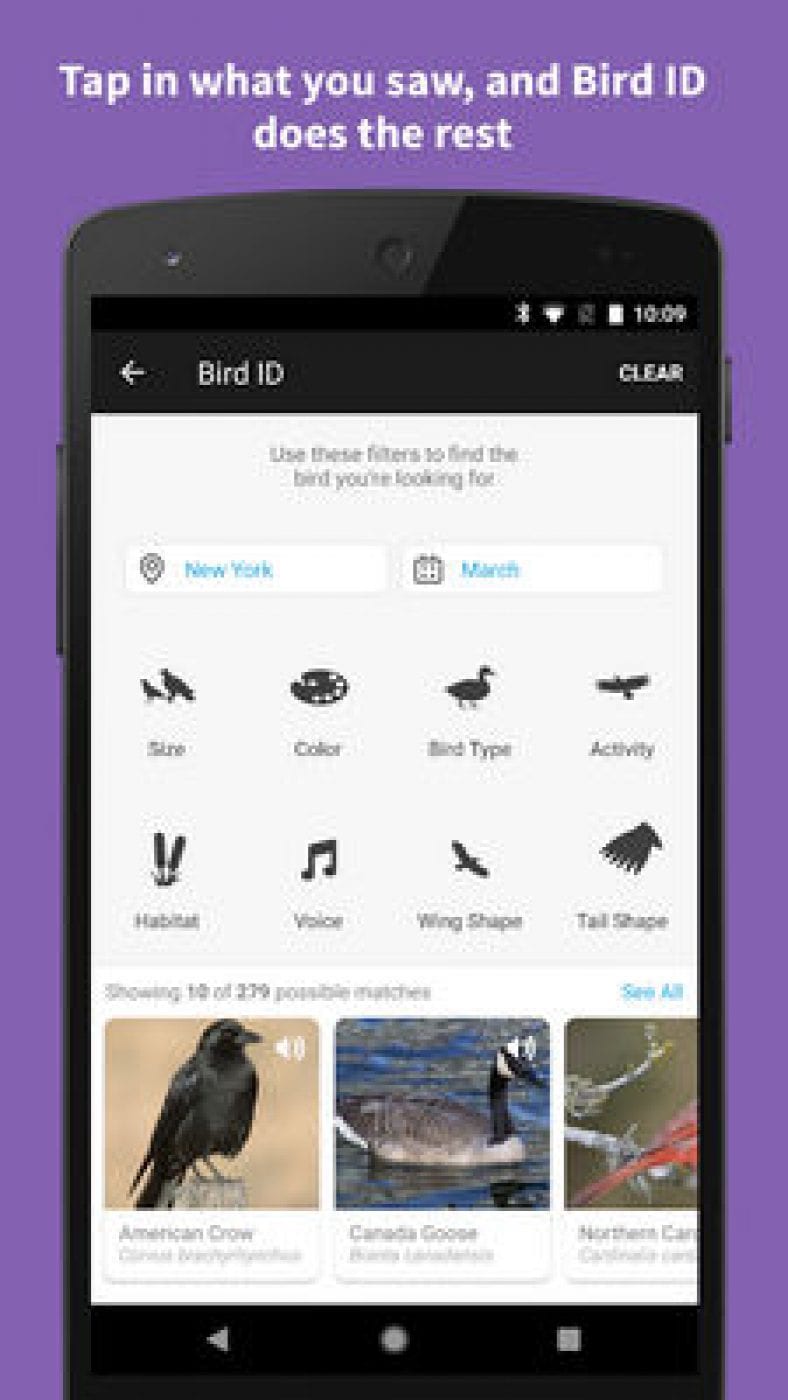 7 Best bird identifier apps for Android & iOS | Freeappsforme - Free ...
