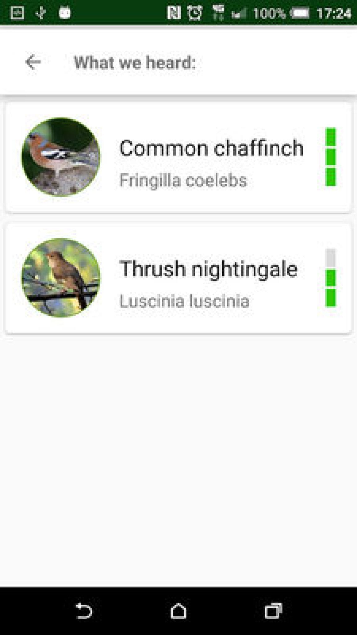 7 Best bird identifier apps for Android & iOS | Freeappsforme - Free ...