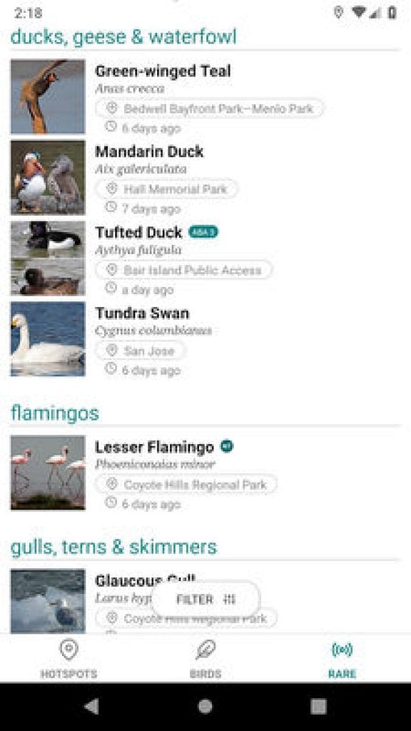 7 Best bird identifier apps for Android & iOS | Freeappsforme - Free ...