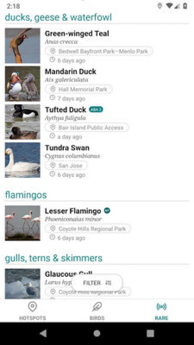 7 Best bird identifier apps for Android & iOS | Freeappsforme - Free ...