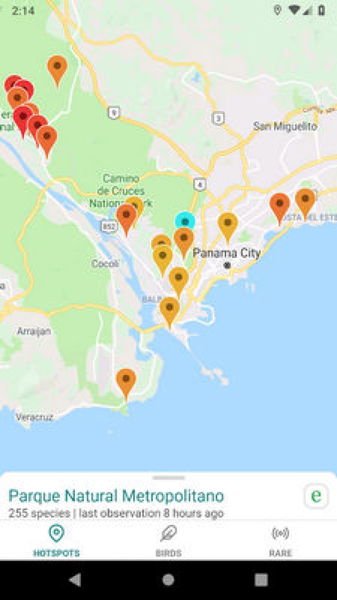 7 Best bird identifier apps for Android & iOS | Freeappsforme - Free ...