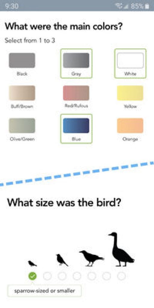7 Best bird identifier apps for Android & iOS | Freeappsforme - Free ...