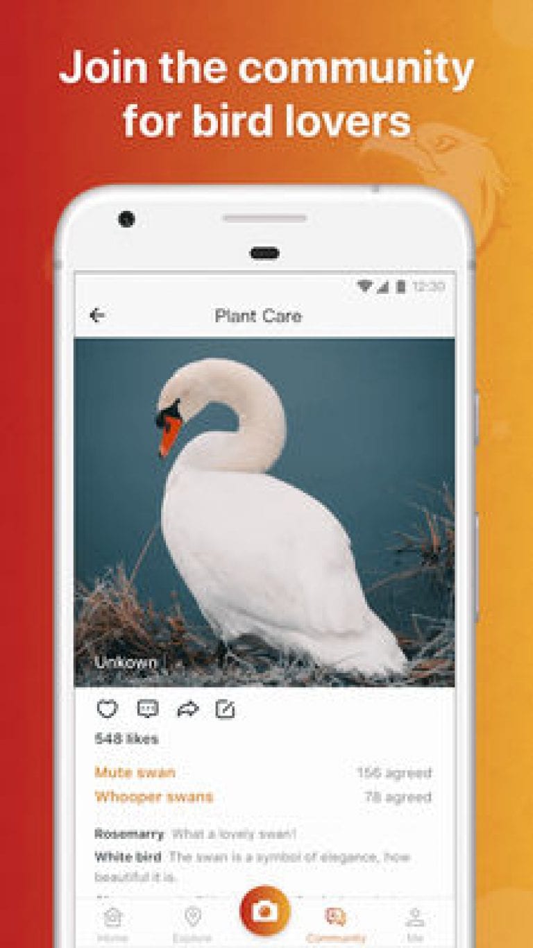 7 Best bird identifier apps for Android & iOS | Freeappsforme - Free ...