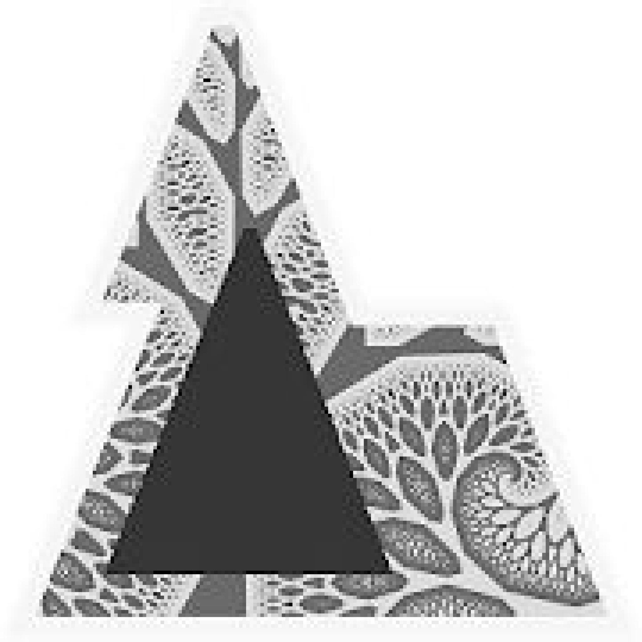 11 Best Fractal Generator Apps for Android & iOS | Free apps for ...