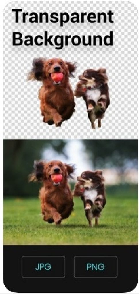 11 Best Background Remover Apps for Android & iOS | Freeappsforme ...
