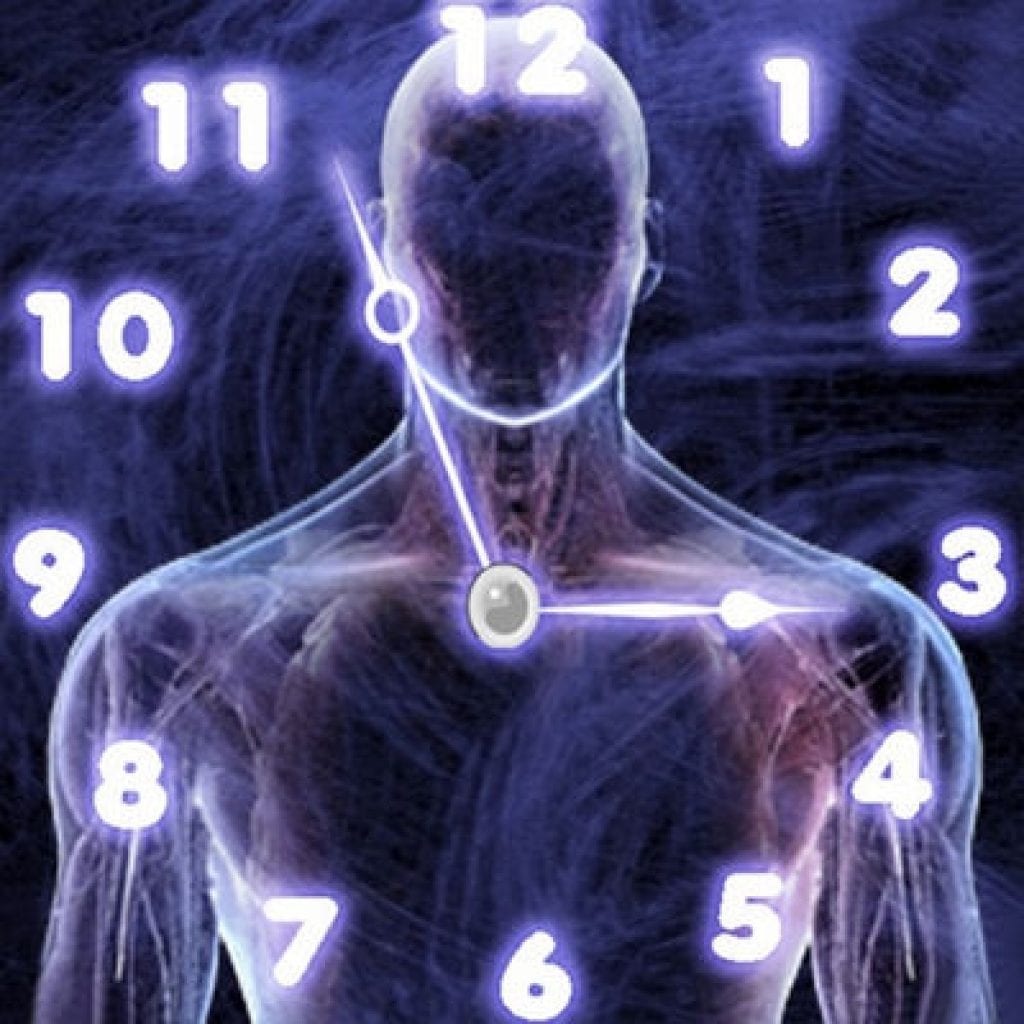 11 Best Age Calculator Apps for Android and iOS | Free apps for Android ...