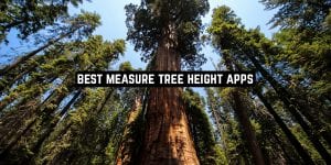 10 Best Measure Tree Height Apps for Android & iOS | Freeappsforme ...