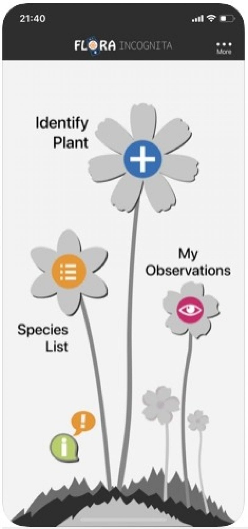 5 Free Flower Identification Apps for Android & iOS | Freeappsforme ...