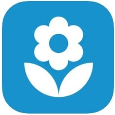 5 Free Flower Identification Apps for Android & iOS | Free apps for ...