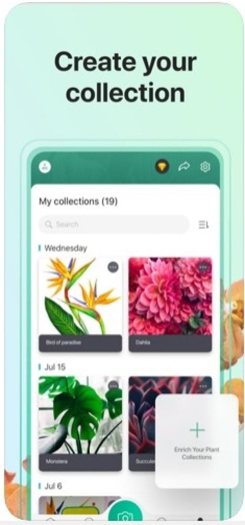 5 Free Flower Identification Apps for Android & iOS | Free apps for ...