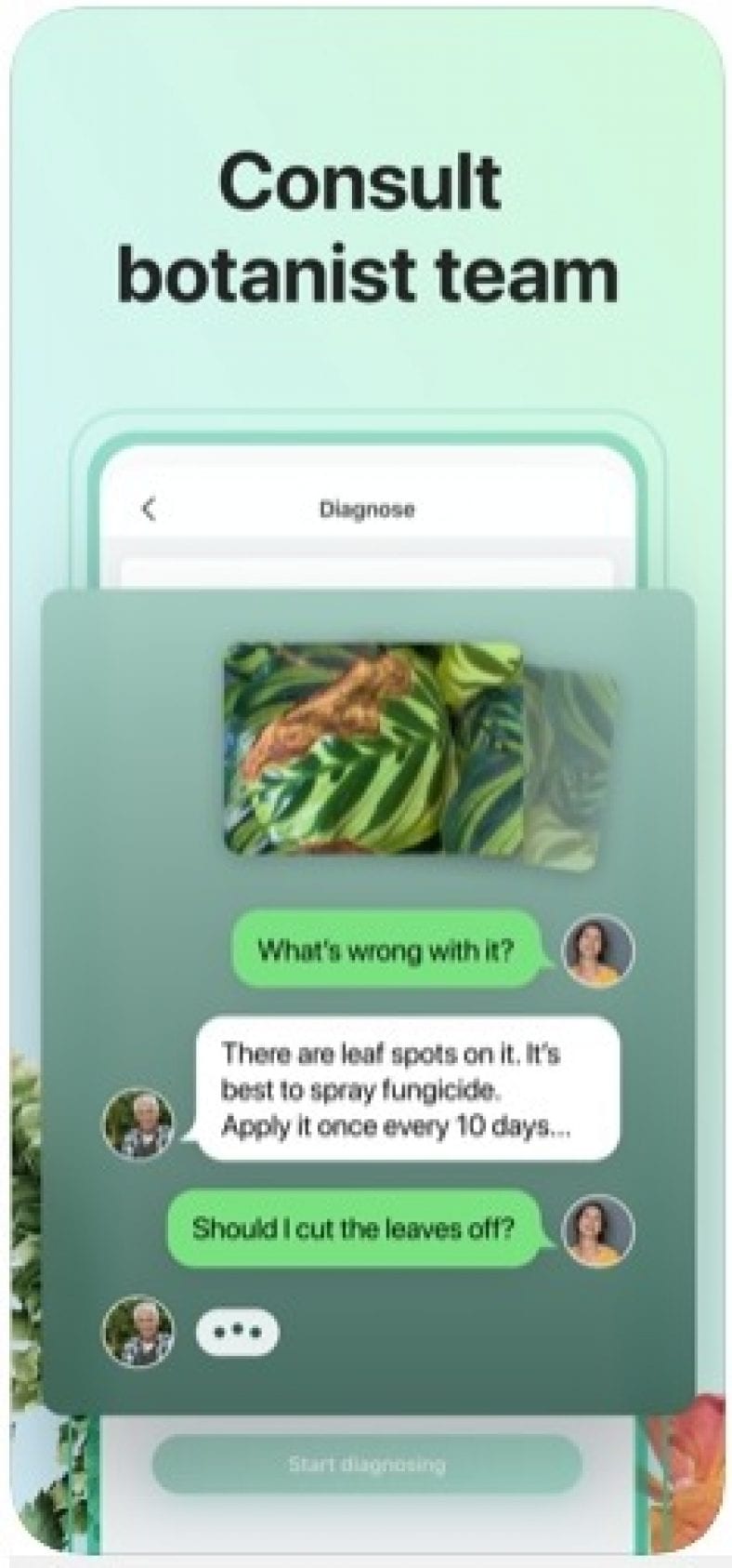 5 Free Flower Identification Apps for Android & iOS | Free apps for ...