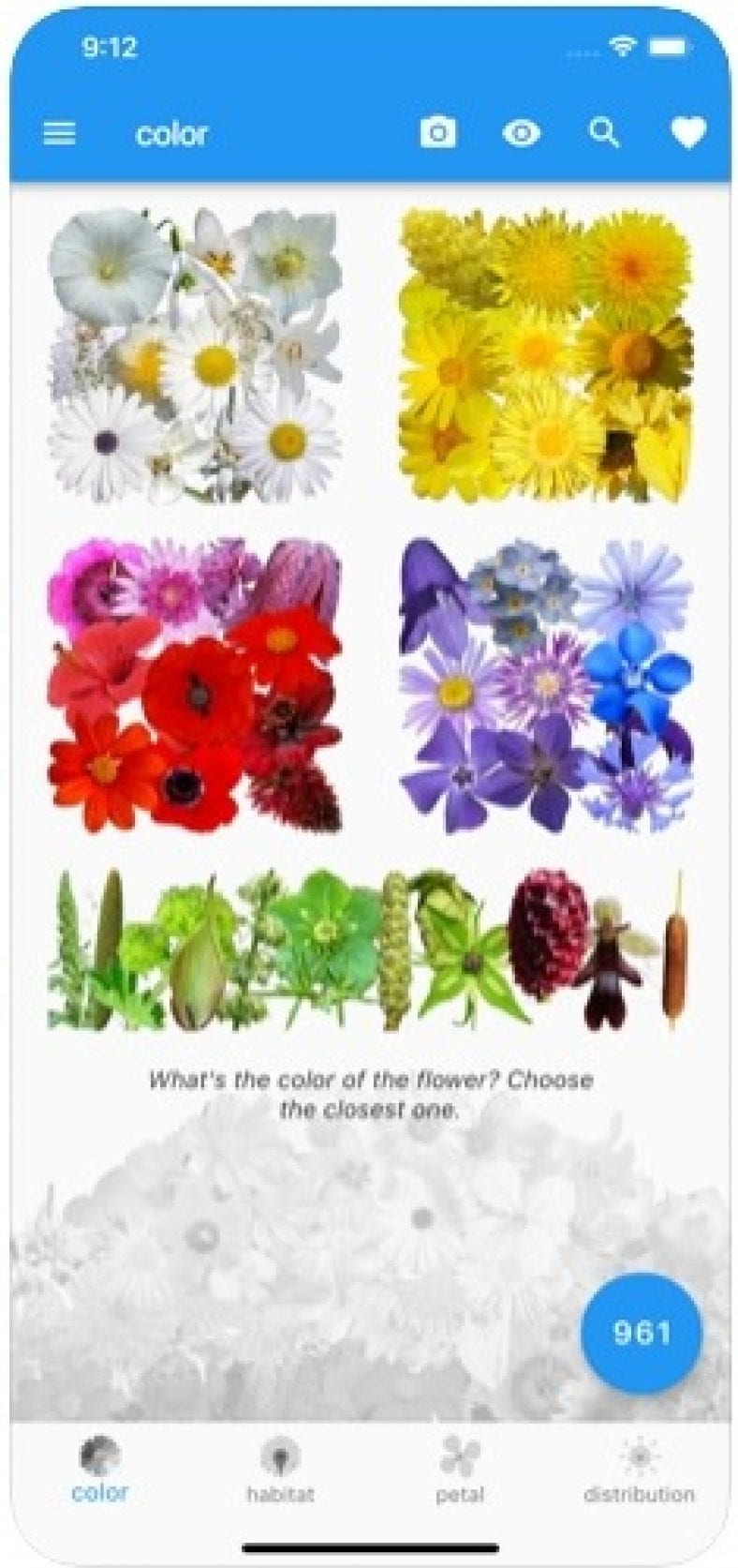 5 Free Flower Identification Apps for Android & iOS | Free apps for ...