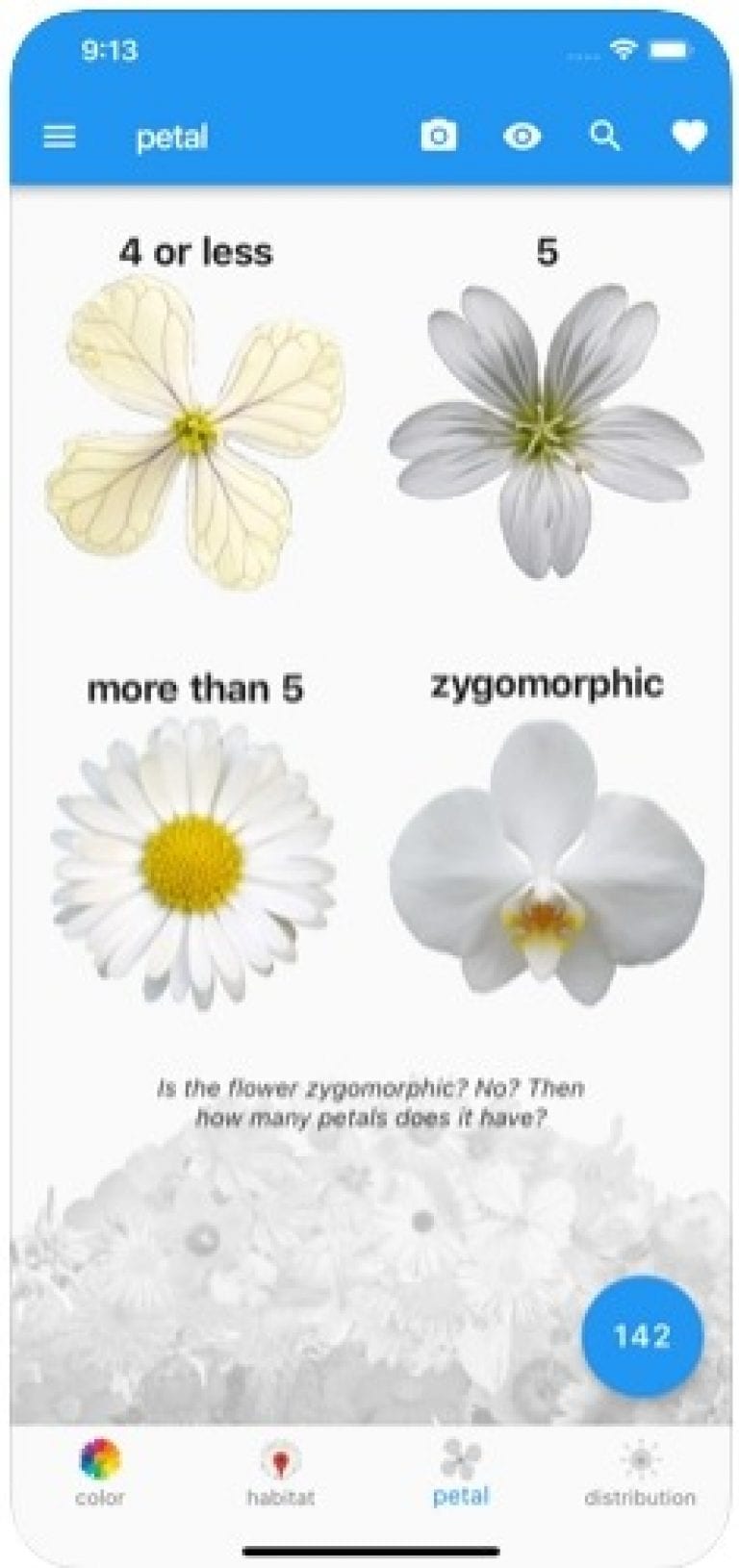 5 Free Flower Identification Apps for Android & iOS | Free apps for ...