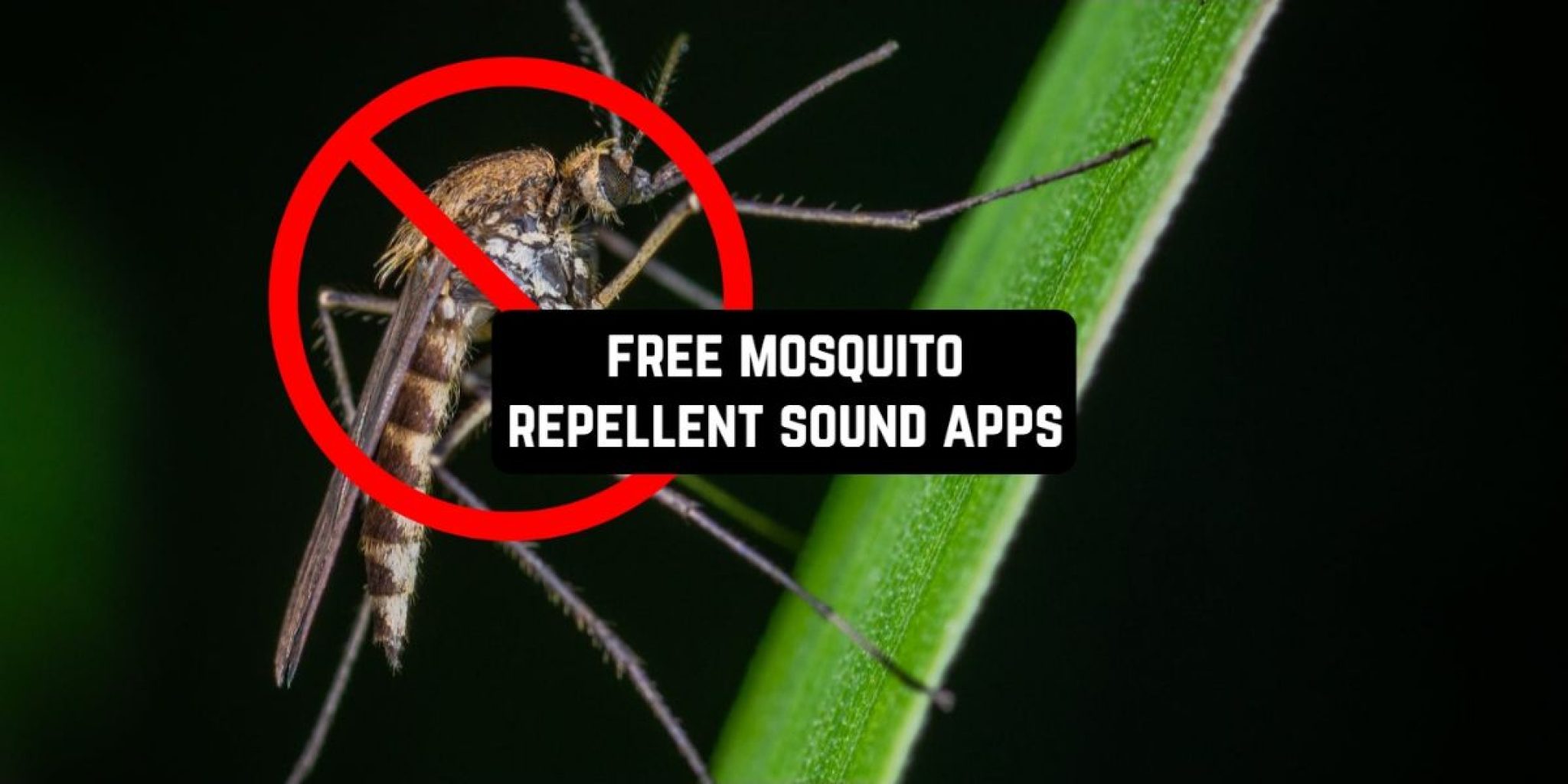 7 Free Mosquito Repellent Sound Apps for Android & iOS | Freeappsforme ...