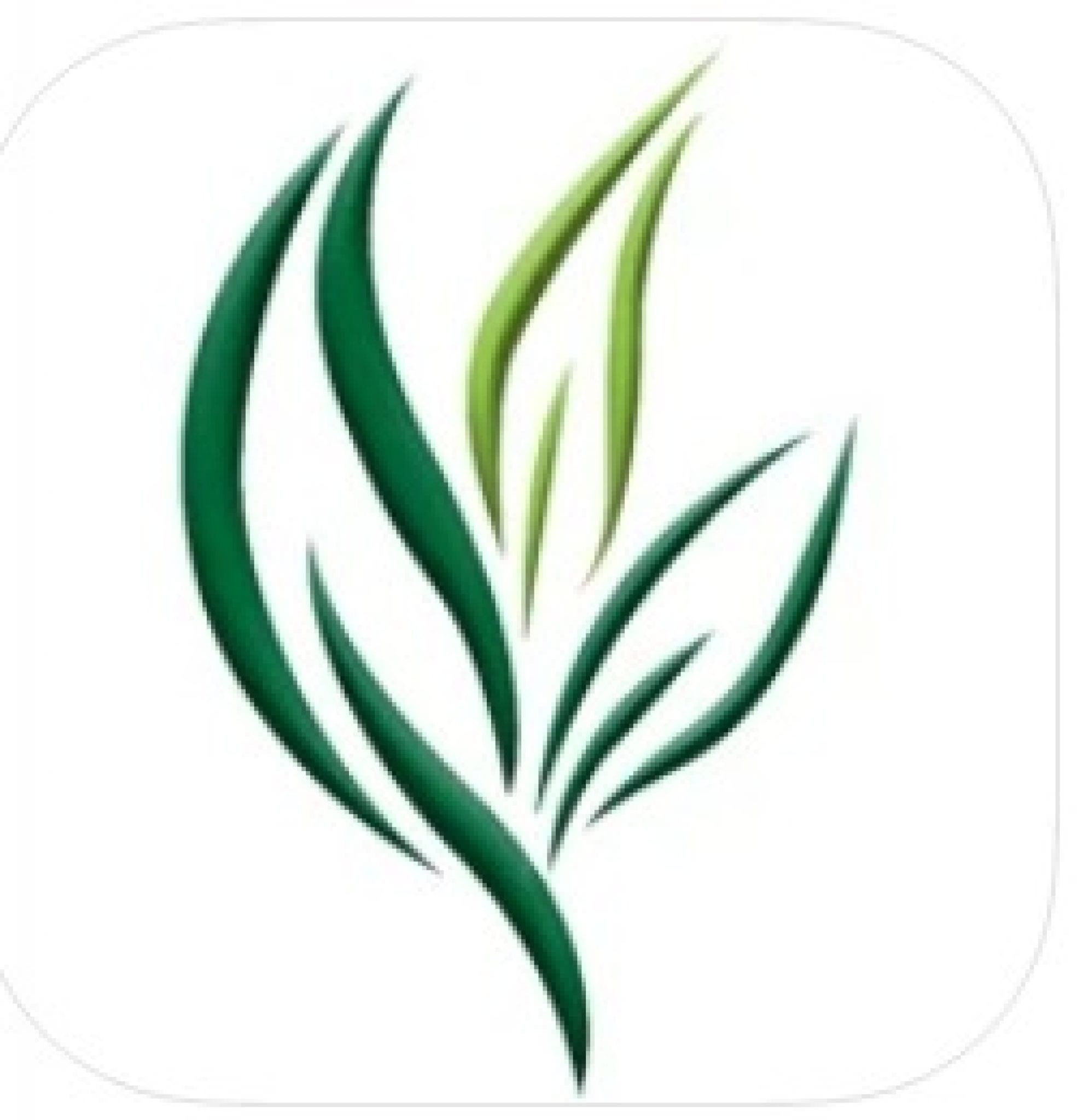 6 Best Skin Tone Detection Apps for Android & iOS | Free apps for ...