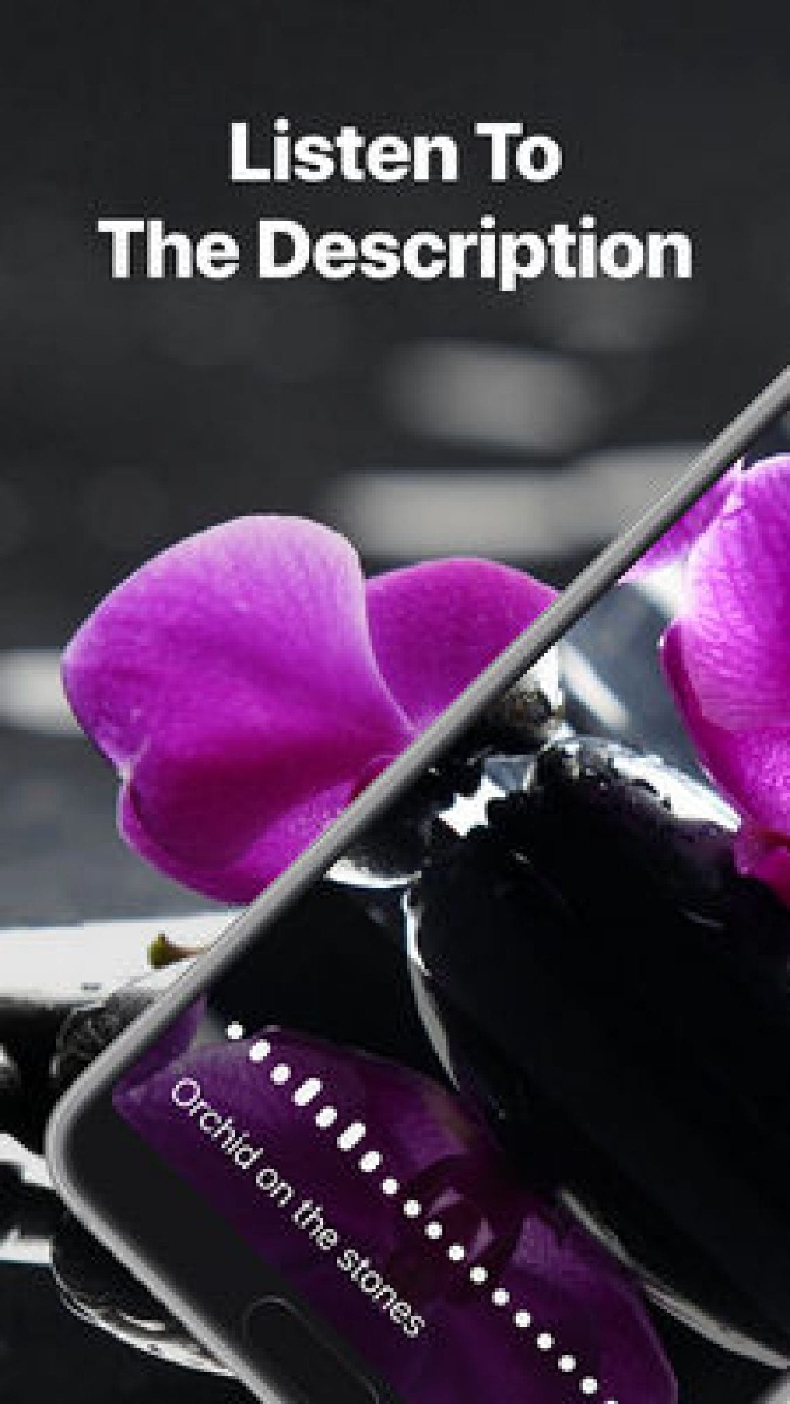 11 Free Computer Vision Apps for Android & iOS | Free apps for Android ...