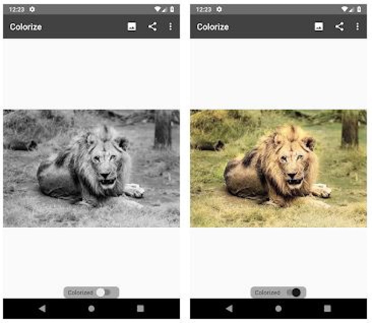 Colorize Images App Review | Freeappsforme - Free apps for Android and iOS