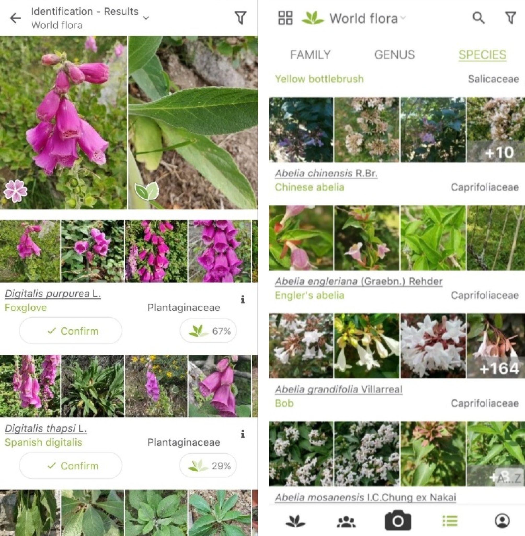 11 Best Object Recognition Apps for Android & iOS 2025 | Freeappsforme ...