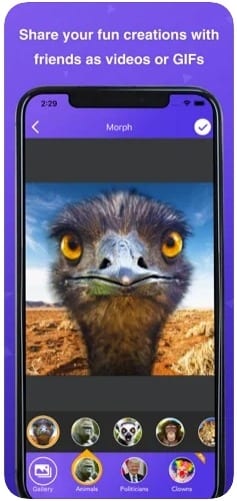 9 Best Photo Morphing Apps for Android & iOS | Free apps for Android ...