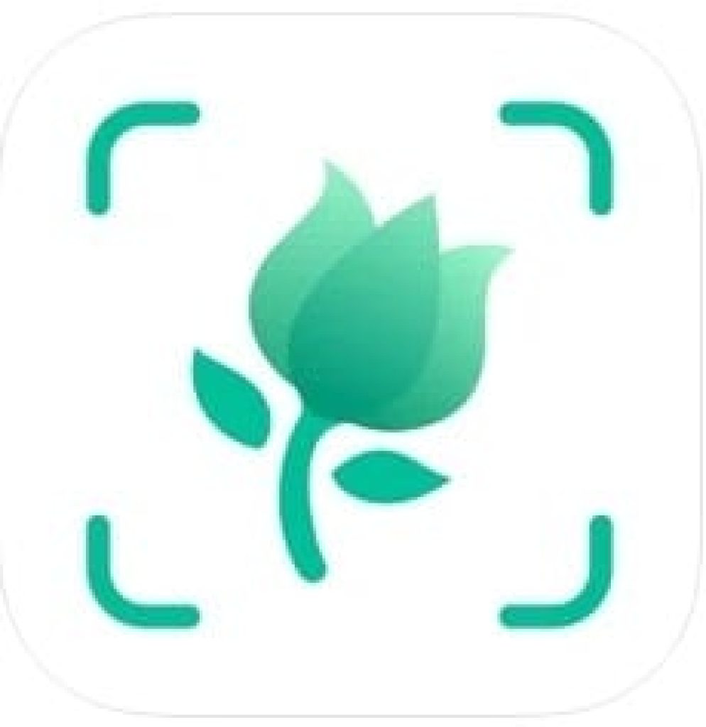 7 Best Leaf Identification Apps In 2023 For Android IOS 7-best-leaf-identification-apps-in-2023-for-android-ios