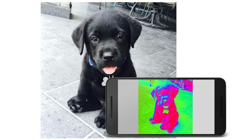 11 Best Thermal Camera Apps in 2021 (Android & iOS) | Free apps for ...