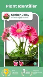 6 Free Flower Identification Apps for Android & iOS | Freeappsforme ...