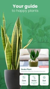 6 Free Flower Identification Apps for Android & iOS | Freeappsforme ...