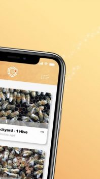 11 Free Beekeeping Apps in 2022 for Android & iOS | Free apps for ...