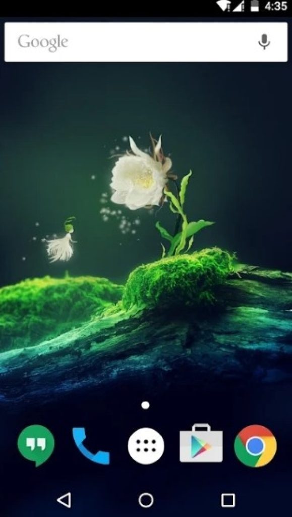 8 Best Live Flower Wallpaper Apps for Android & iOS | Freeappsforme ...