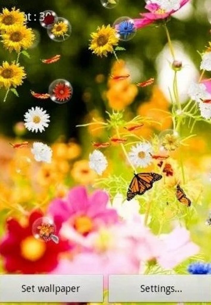 8 Best Live Flower Wallpaper Apps for Android & iOS | Freeappsforme ...