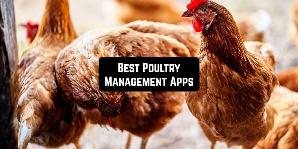 5 Best Poultry Management Apps for Android & iOS | Freeappsforme - Free apps for Android and iOS