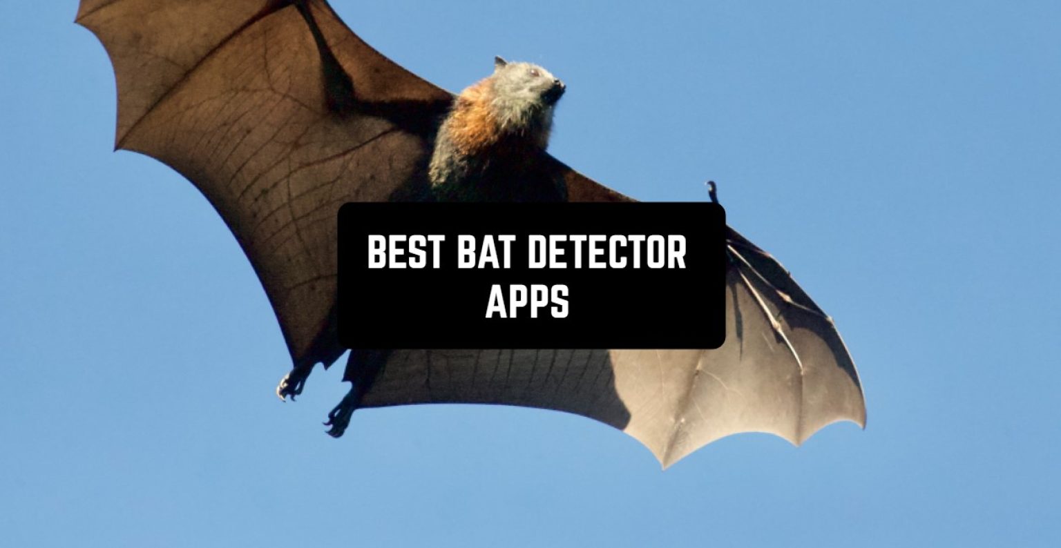 7 Best Bat Detector Apps for Android & iOS | Freeappsforme - Free apps ...