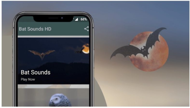 7 Best Bat Detector Apps for Android & iOS | Freeappsforme - Free apps ...