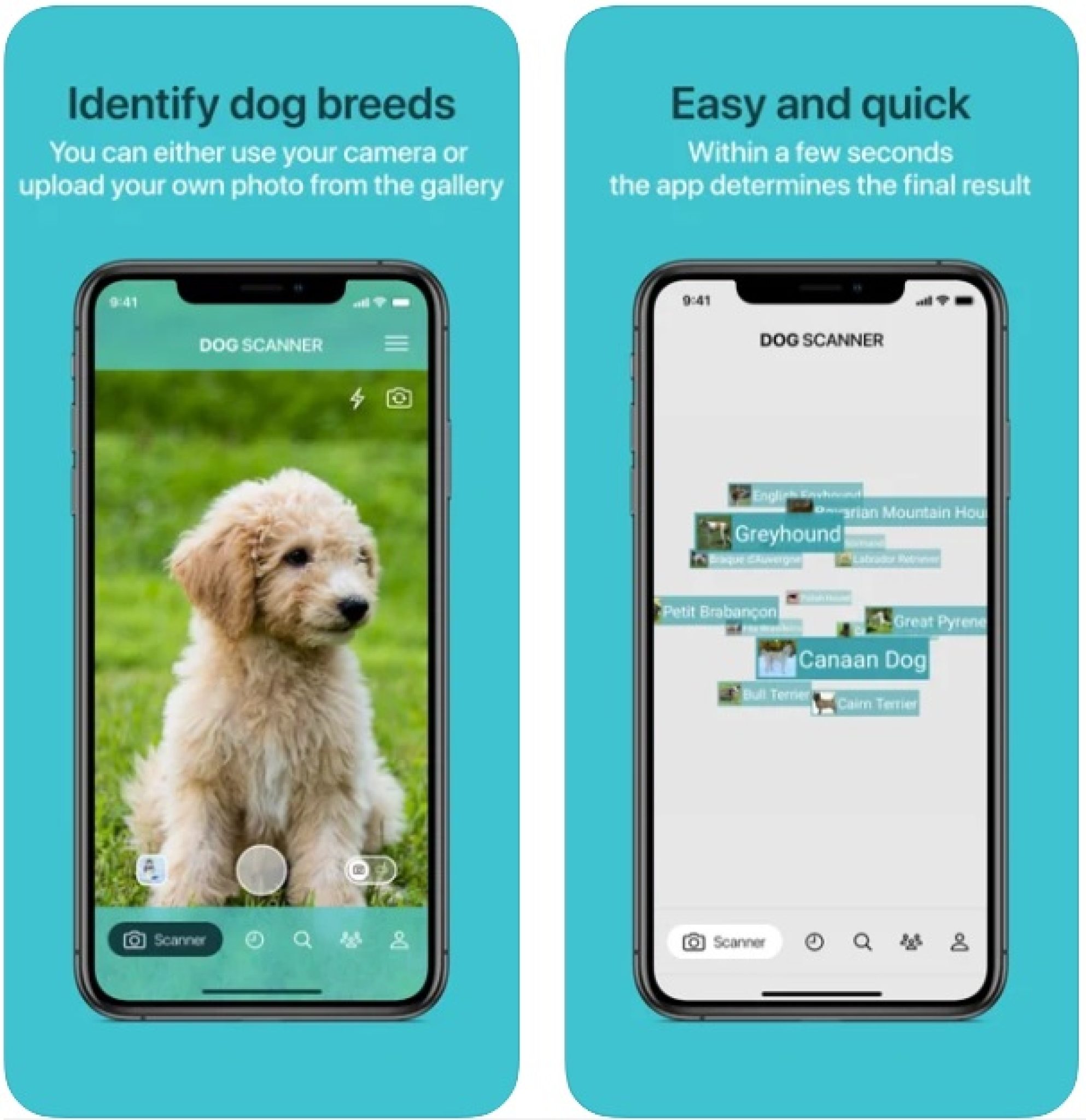 9 Free Dog Breed Identifier Apps 2022 (Android & iOS) | Free apps for ...