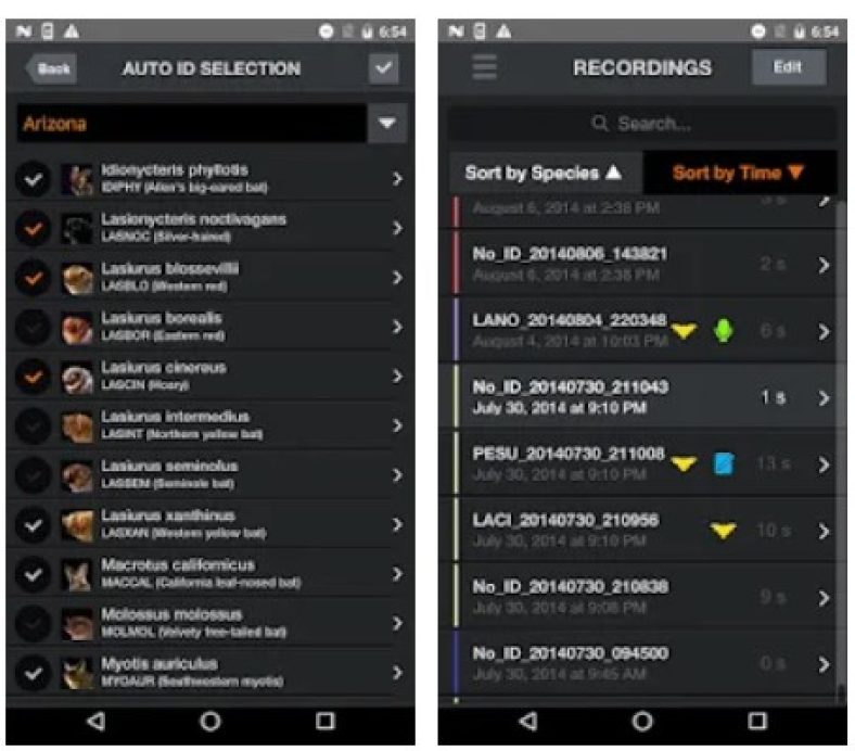 7 Best Bat Detector Apps for Android & iOS | Freeappsforme - Free apps ...
