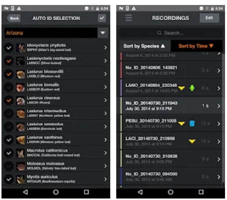 7 Best Bat Detector Apps for Android & iOS | Freeappsforme - Free apps ...