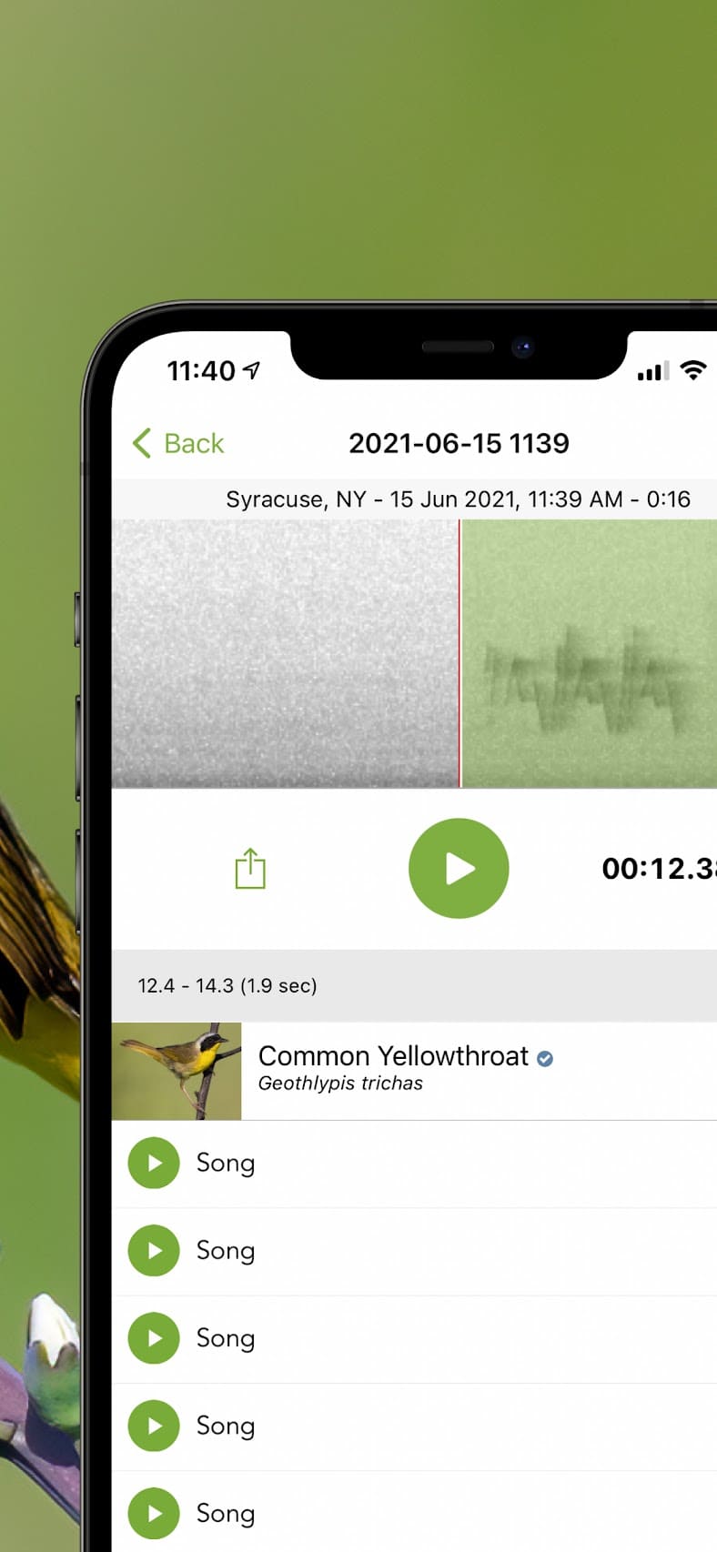 7 Best Bird Identification Apps for Android & iOS | Freeappsforme ...