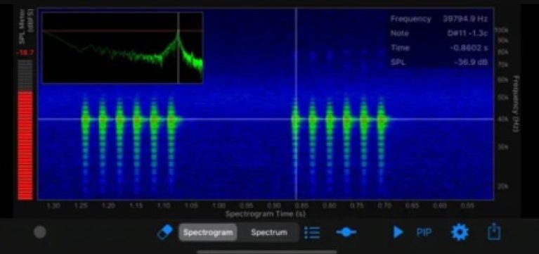 7 Best Bat Detector Apps for Android & iOS | Freeappsforme - Free apps ...