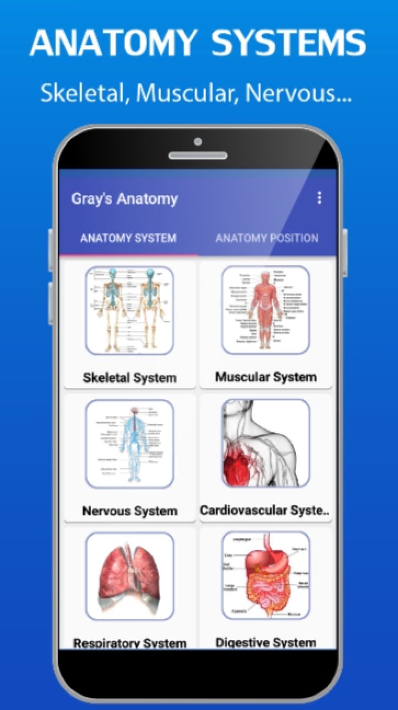 7 Free Muscle Anatomy Apps For Android & iOS | Freeappsforme - Free ...