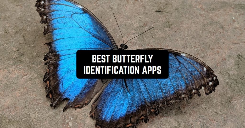 9 Best Butterfly Identification Apps for Android & iOS | Freeappsforme ...
