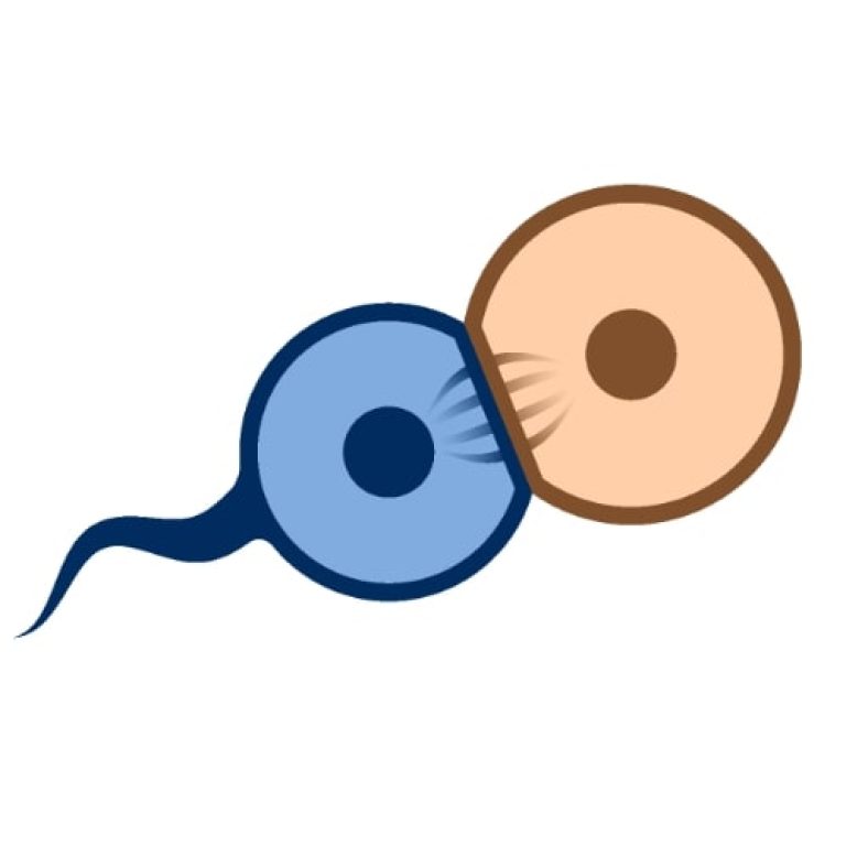 15 Best Evolution Simulator Games for Android & iOS | Free apps for ...