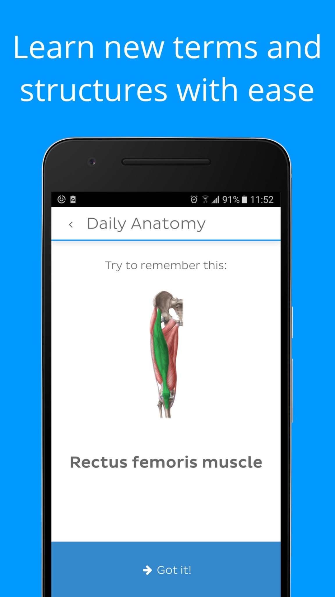 11 Best Medical Terminology Flashcards Apps 2026 | Freeappsforme - Free ...