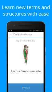 11 Best Medical Terminology Flashcards Apps 2026 | Freeappsforme - Free ...