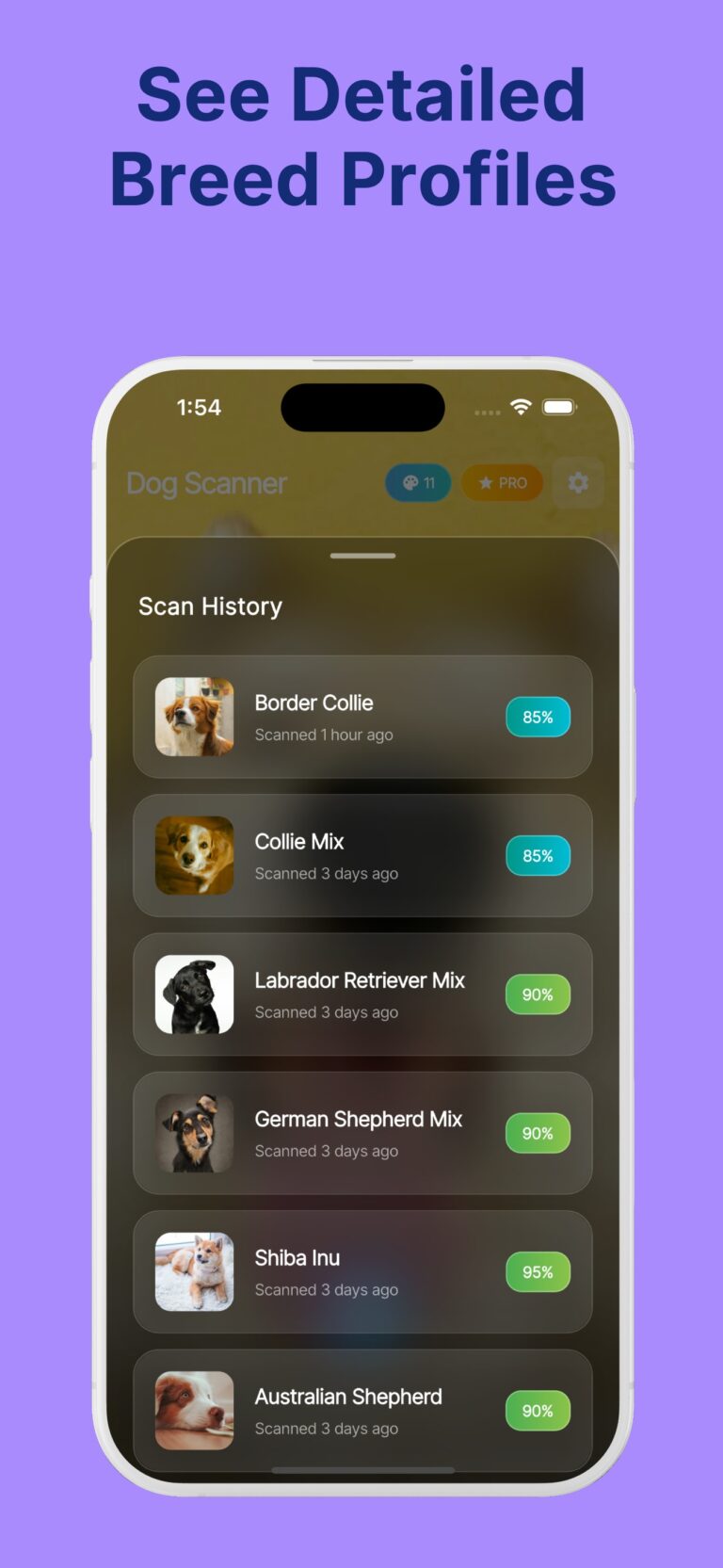 12 Free Dog Breed Identifier Apps 2026 (Android & iOS) | Freeappsforme ...